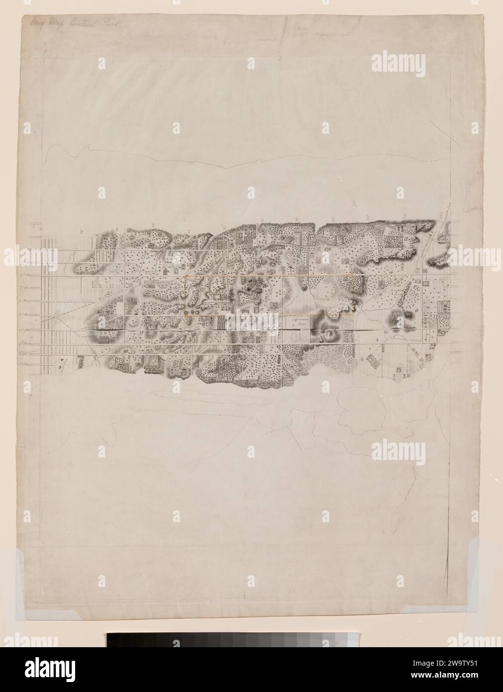 Topographical Map of the City and County of New-York and the Adjacent ...