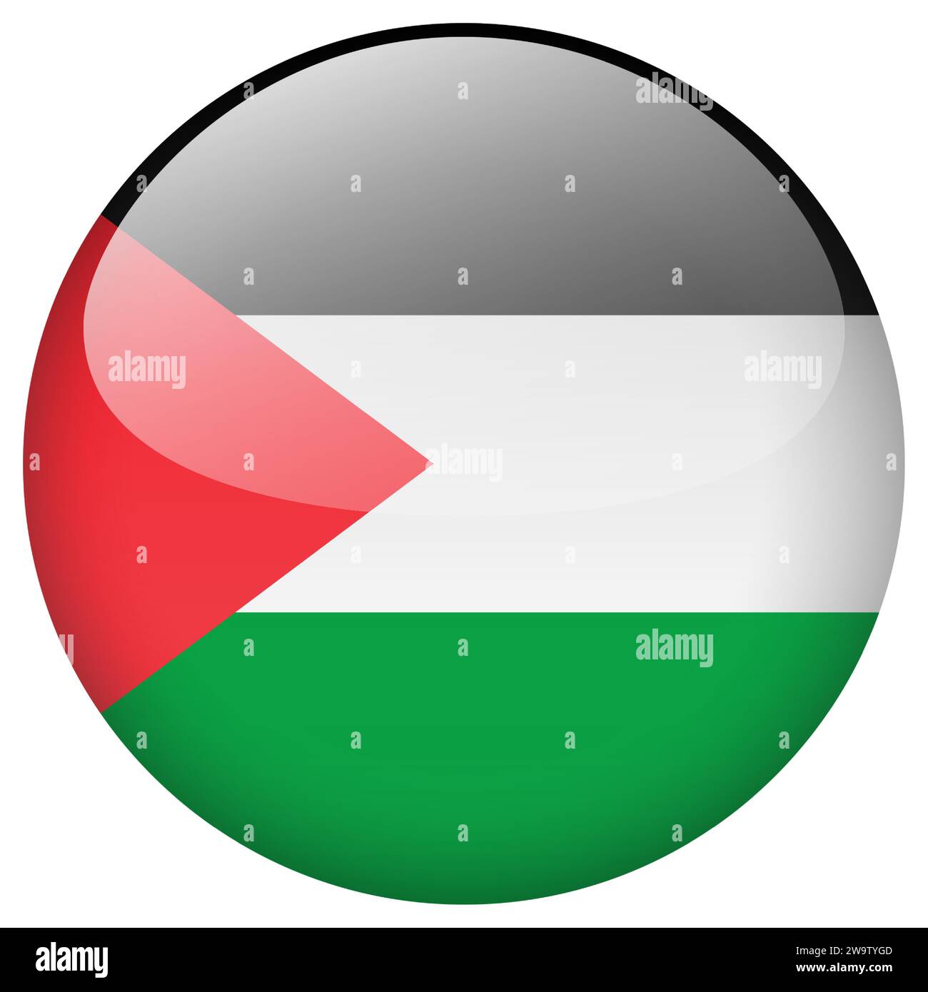 Palestine flag button. Palestine circle flag button isolated on white ...