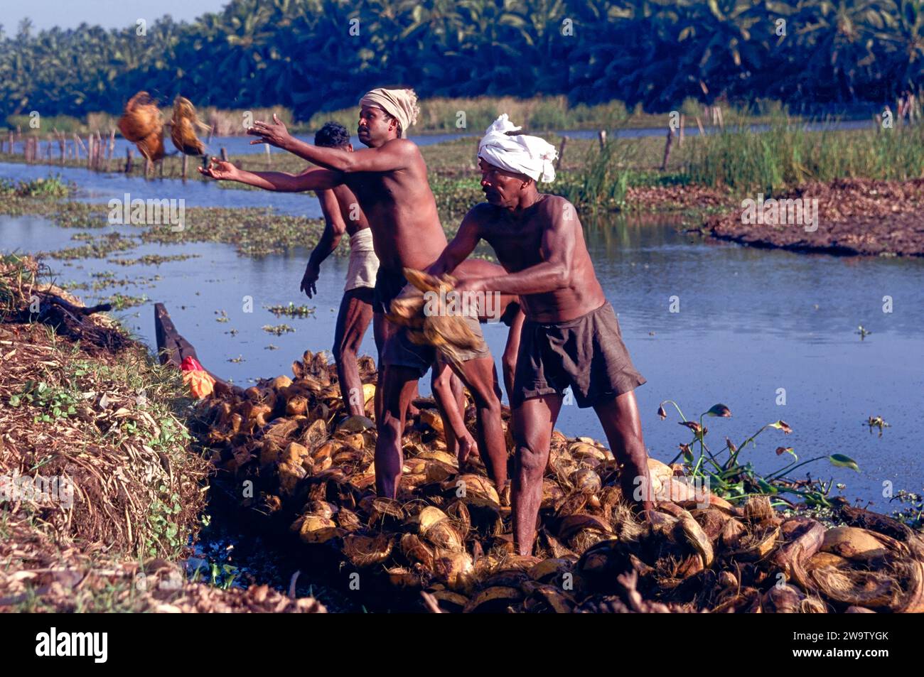 Coir production in India four men in the boat throwing the soaked ...