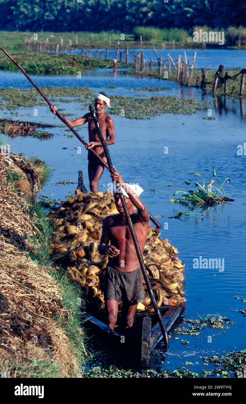 Coco coir bricks hi-res stock photography and images - Alamy