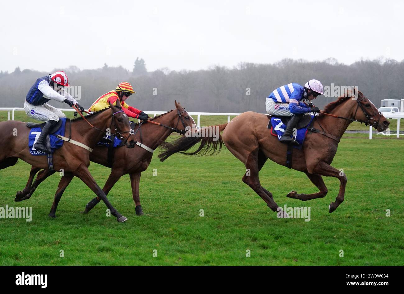 Captain teague horse hi-res stock photography and images - Alamy