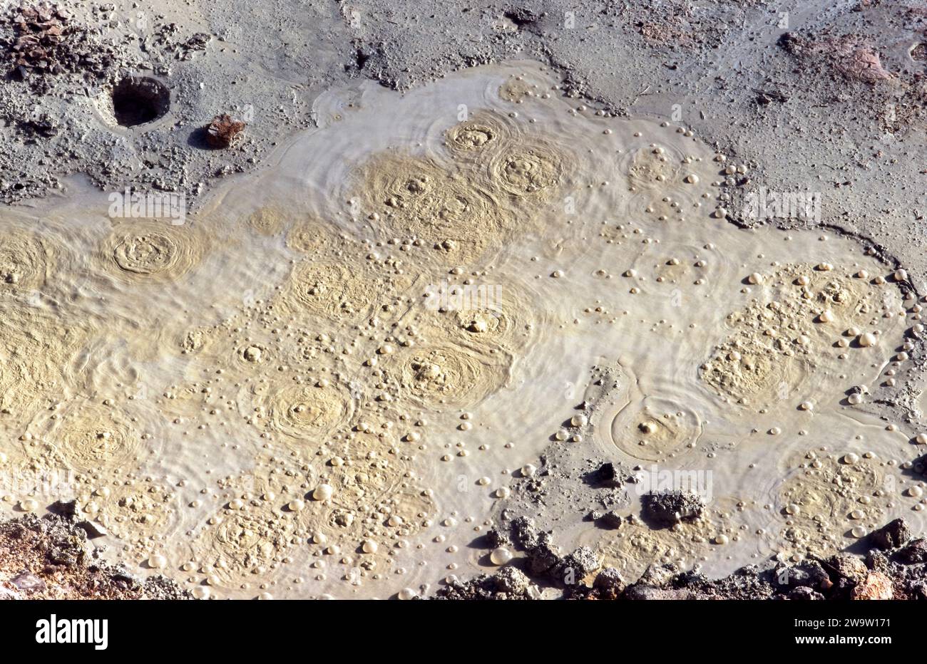 Yellowstone National Park Wyoming USA boiling mud Stock Photo - Alamy