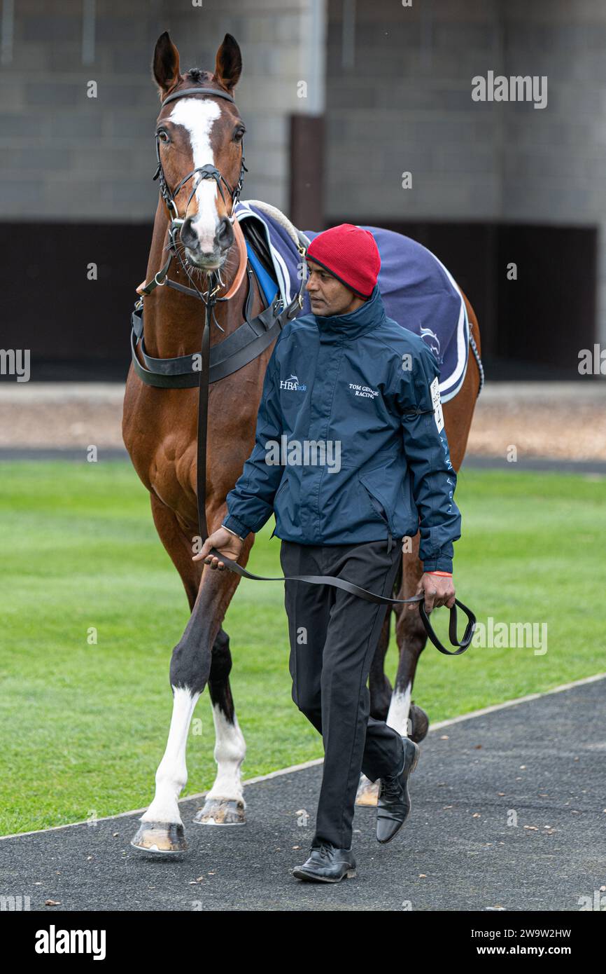 Oscar robertson runs second at wincanton hi-res stock photography and ...