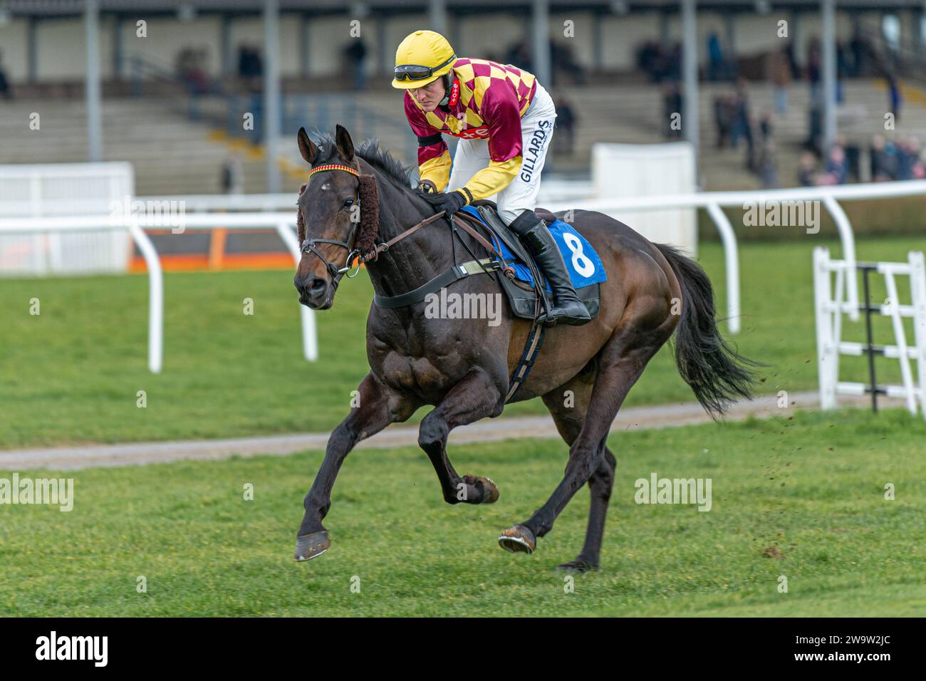 Favori de silva march 10th 2022 hi-res stock photography and images - Alamy