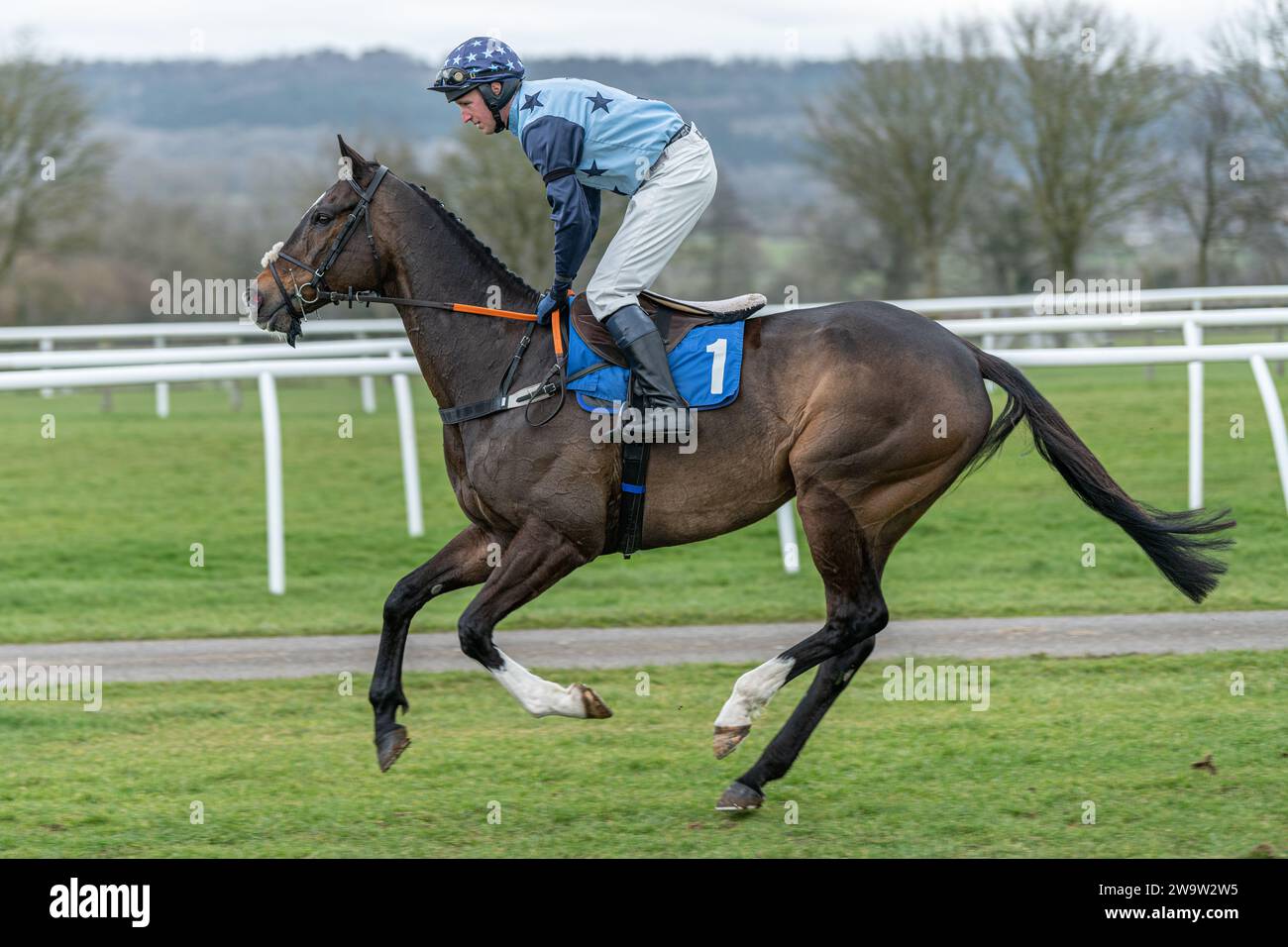 The Kings Writ, ridden by Joshua Newman and trained by Kayley ...