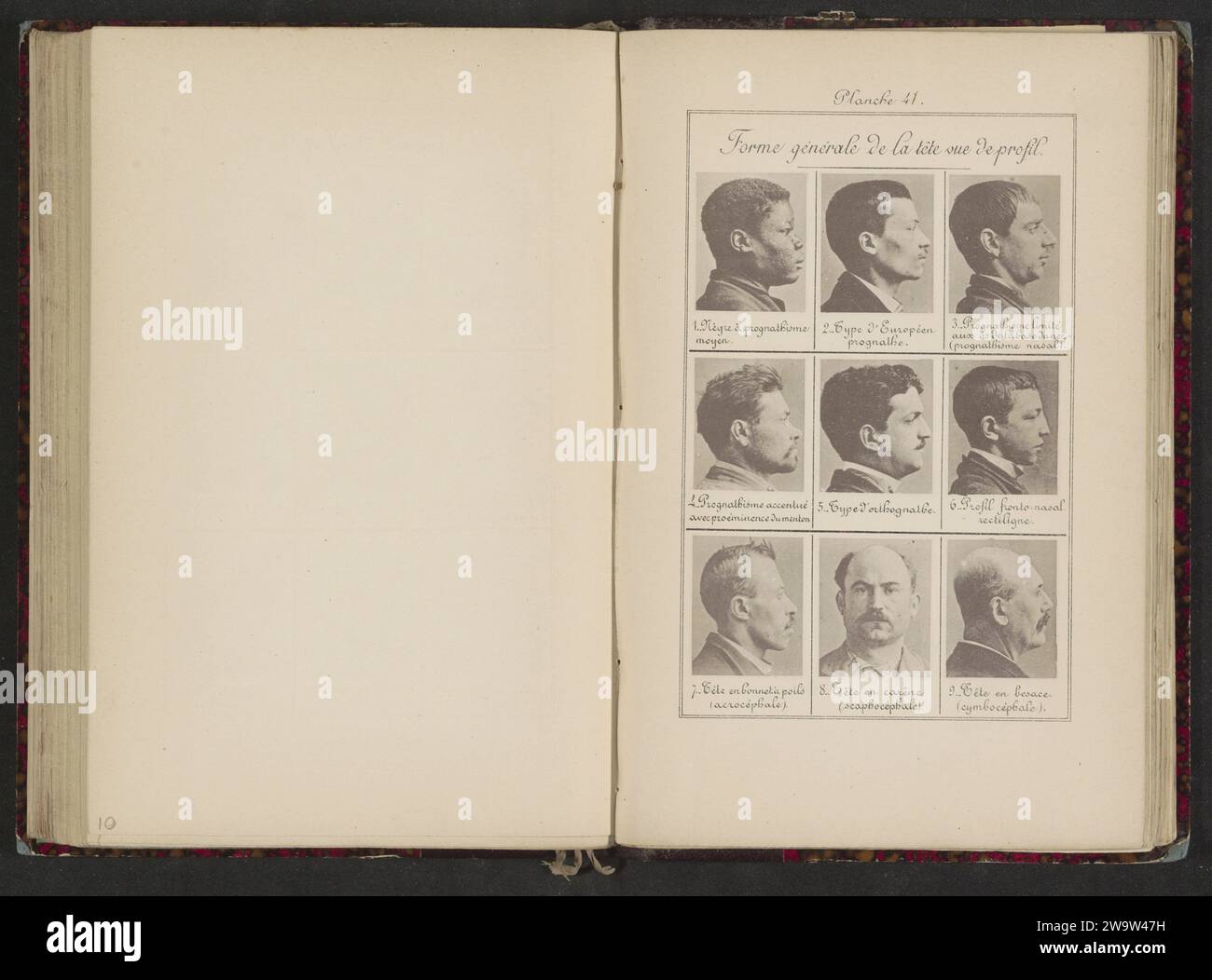 Nine male heads, ranked on the shape of their heads, c. 1880 - in or ...