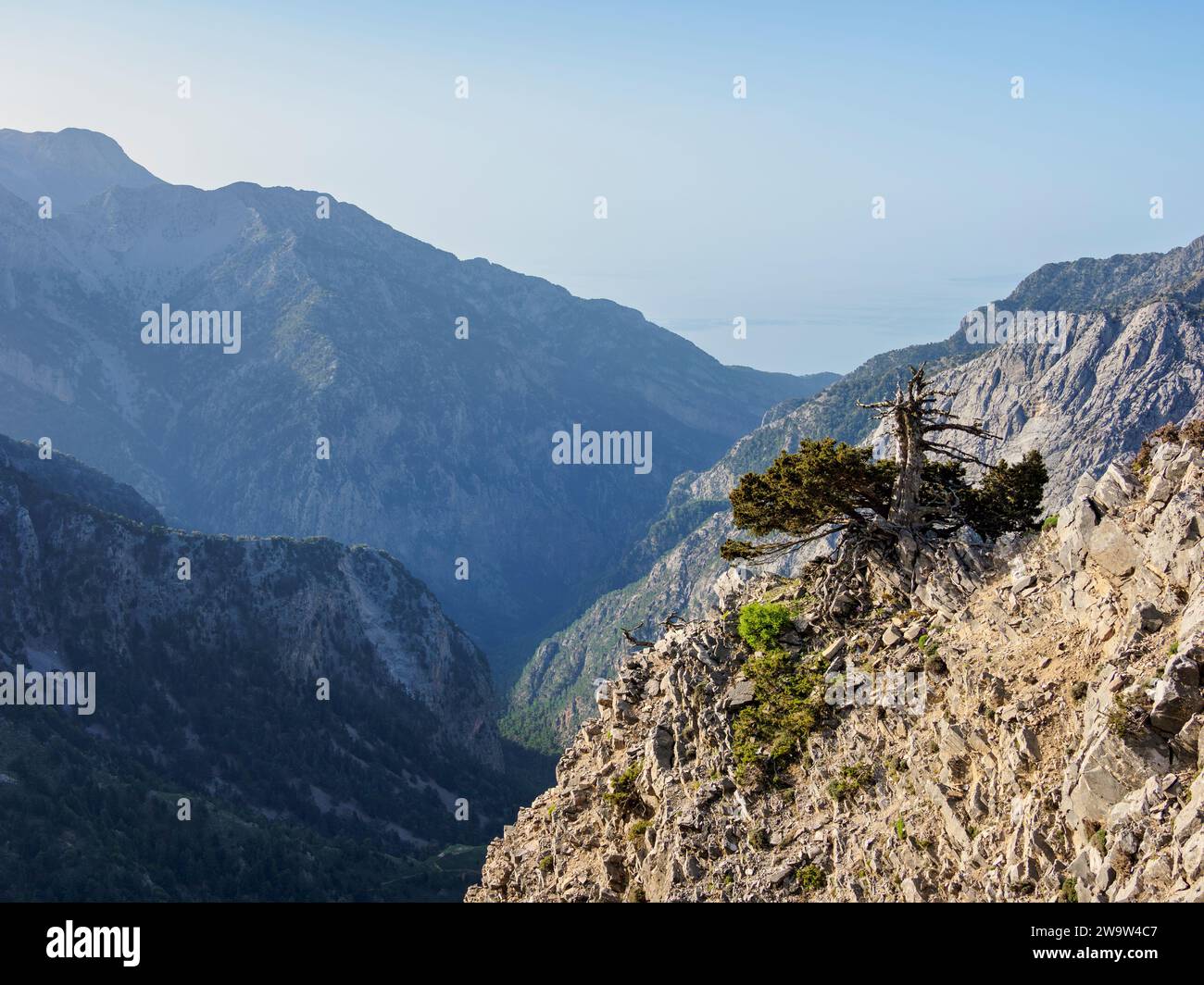 Samaria Gorge, elevated view, Chania Region, Crete, Greece Stock Photo ...