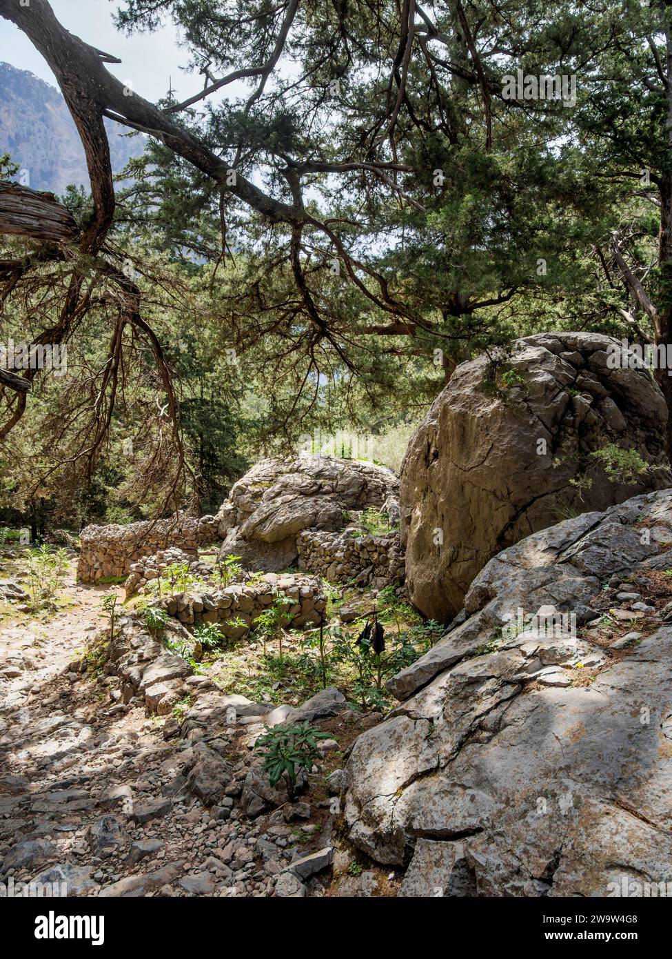 Samaria Gorge, Chania Region, Crete, Greece Stock Photo - Alamy