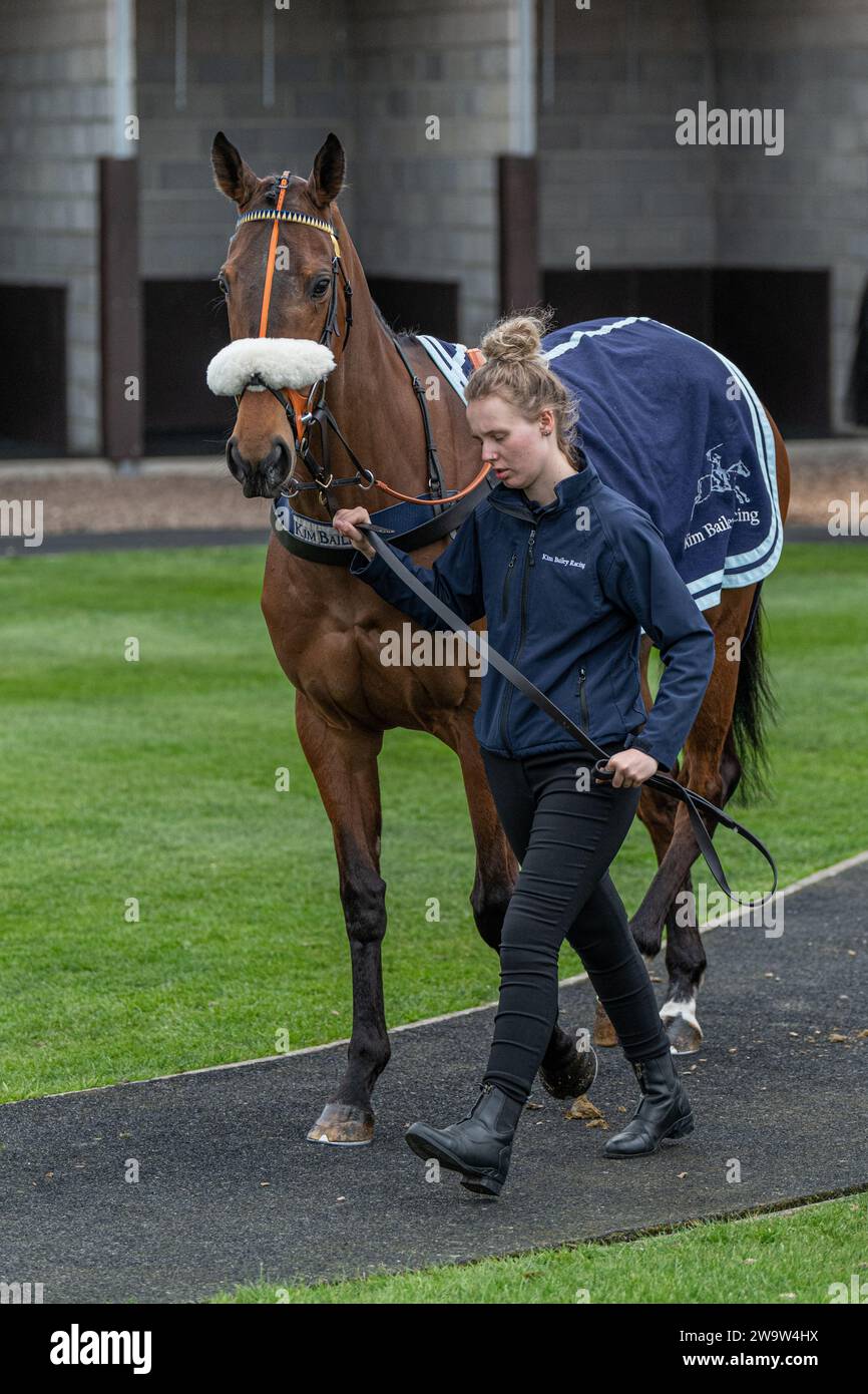 Talk of the moon, ridden by David Bass and trained by Kim Bailey ...