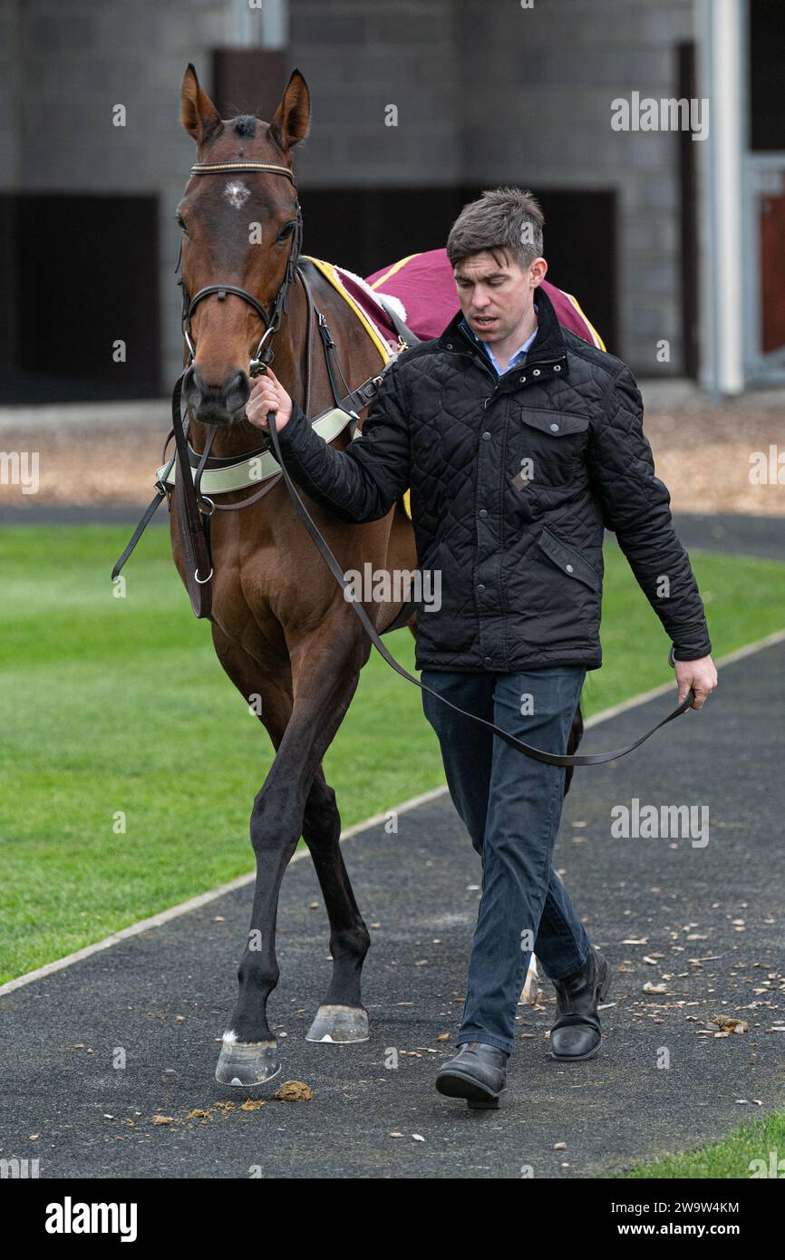 Dicey rielly trained by peter bowen hi-res stock photography and images ...