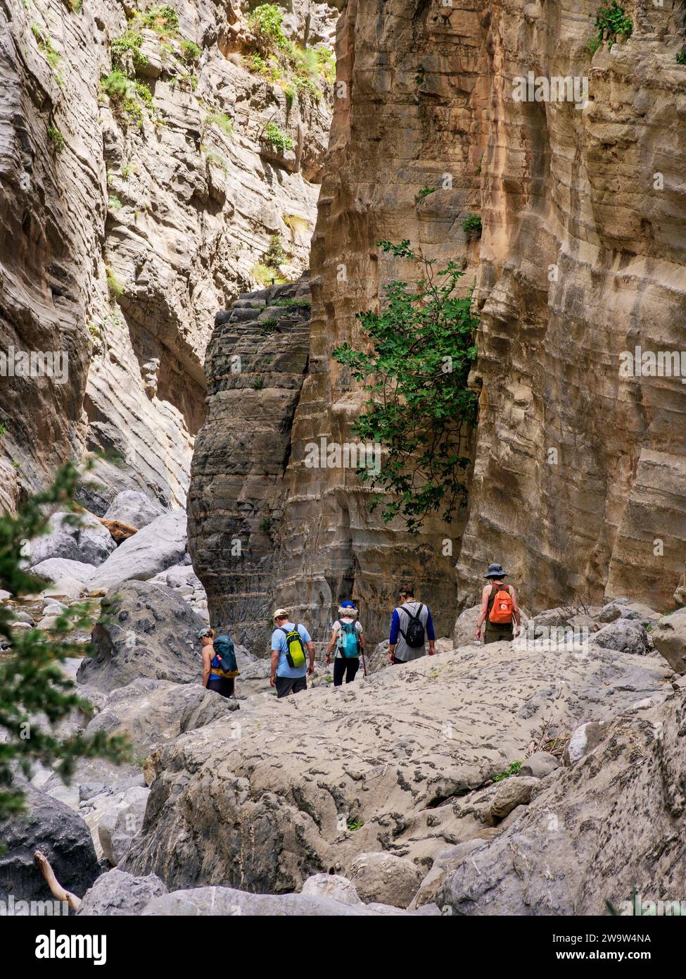 People trekking at the Samaria Gorge, Chania Region, Crete, Greece ...
