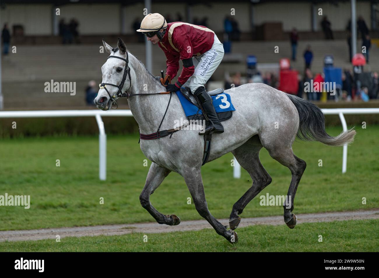 Chabichou dupoitou jumping hurdles hi-res stock photography and images ...