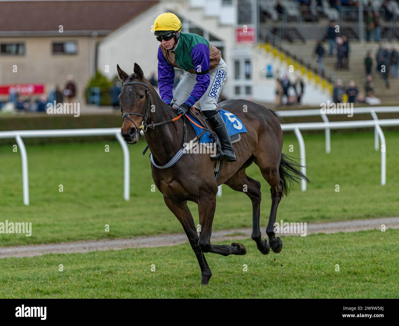 Emberscombe, ridden by Rex Dingle and trained by Jeremy Scott, racing ...