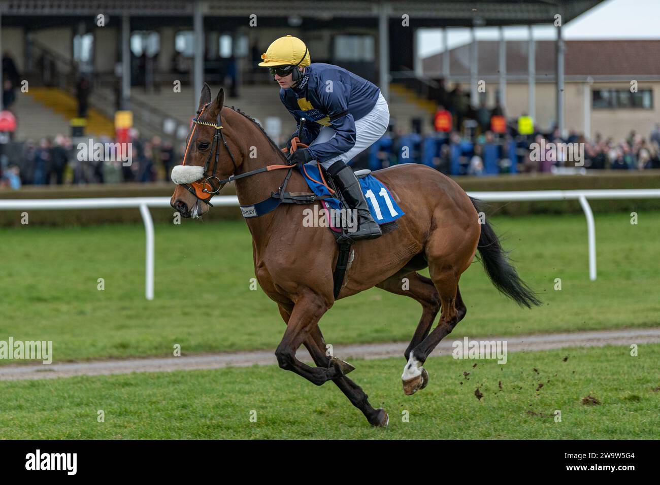 David bass riding talk of the moon hi-res stock photography and images ...