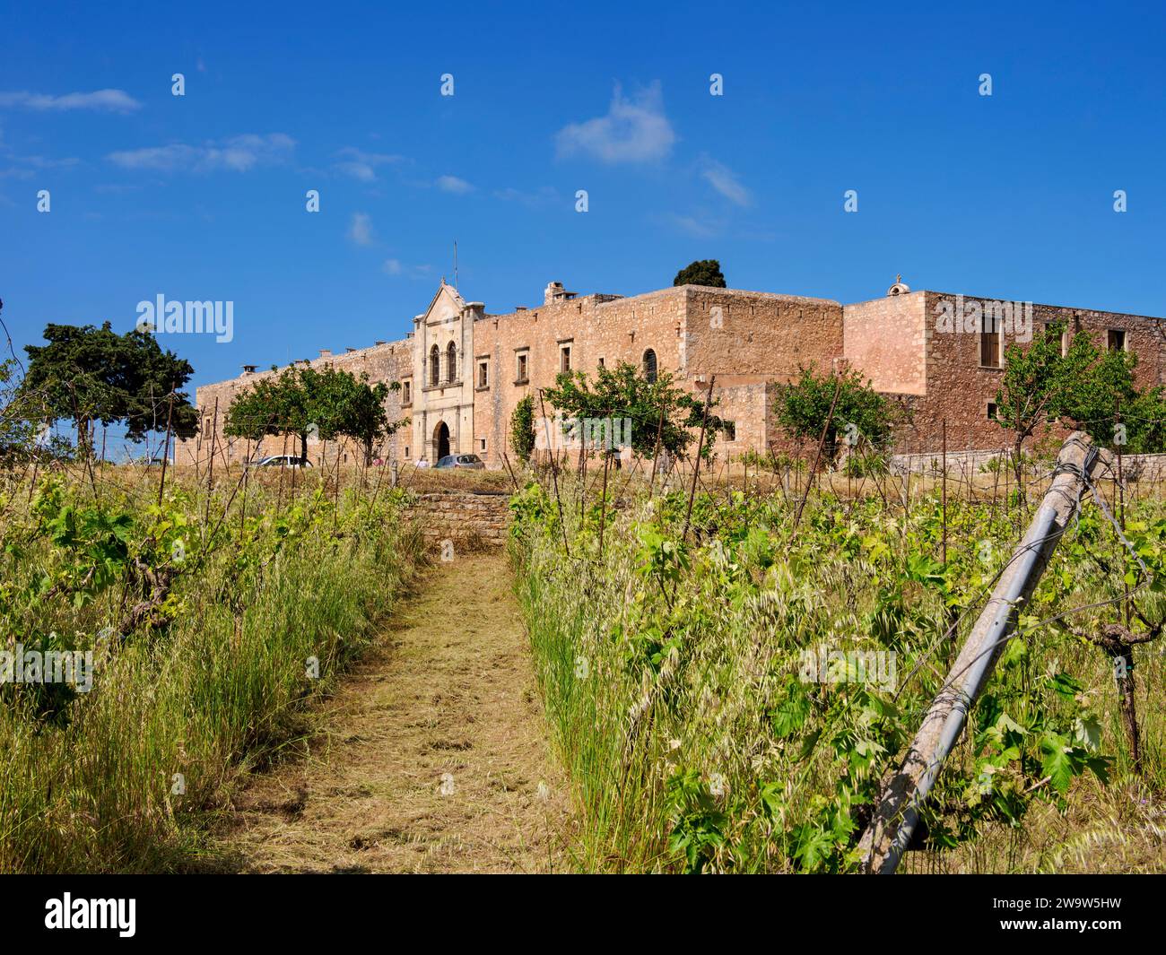 Vineyard of Arkadi Monastery, Rethymno Region, Crete, Greece Stock ...