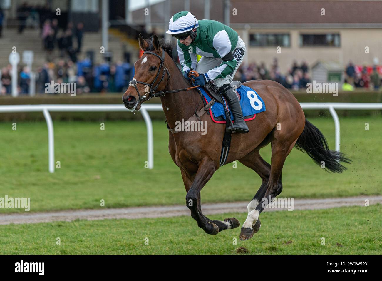 Hay there mona trained by harry fry hi-res stock photography and images ...