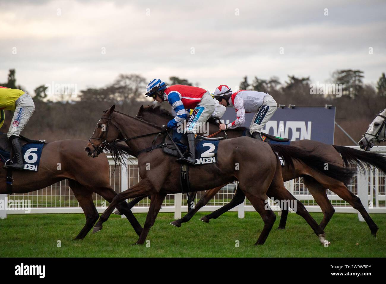 Anthony honeyball trainer hi-res stock photography and images - Alamy