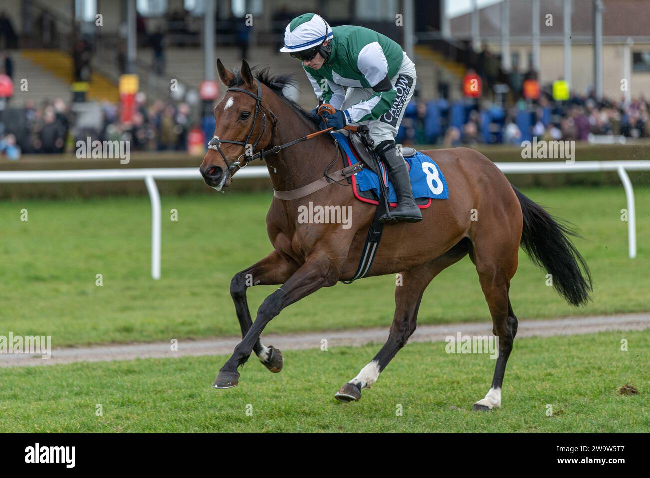 Hay there mona trained by harry fry hi-res stock photography and images ...