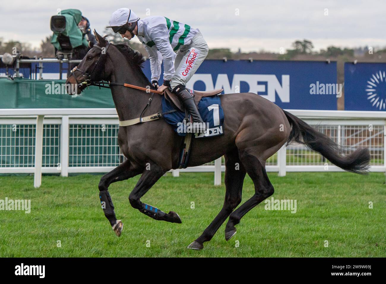 Botox has racecourse hi-res stock photography and images - Alamy