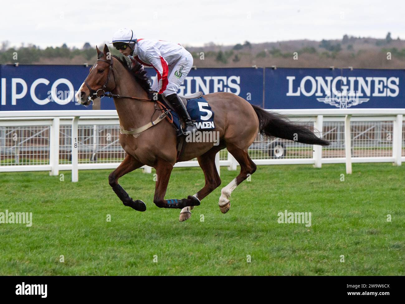 Niall houlihan jockey 2023 hi-res stock photography and images - Alamy