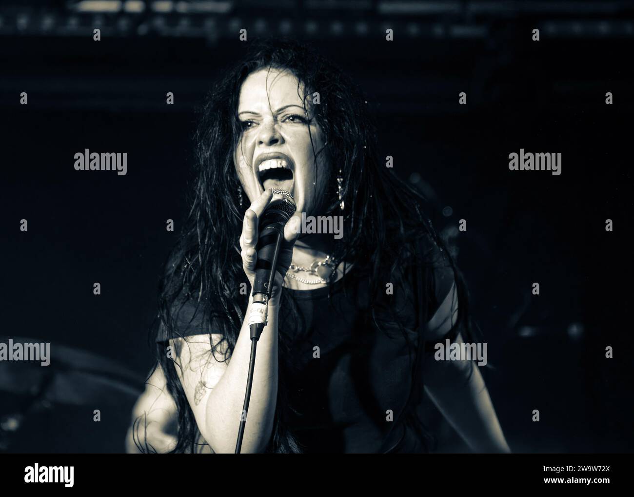 Derby, United Kingdom. 29 December 2023, Event: The Hairy Dog. Adam ...