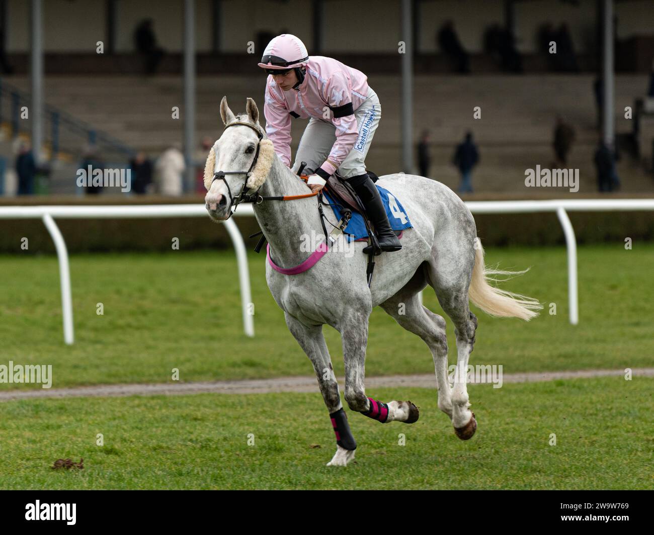 Family Pot, ridden by Ben Jones and trained by Sheila Lewis, running ...