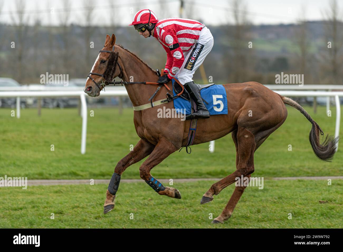Belle Jour, ridden by Tom Cannon and trained by Chris Gordon, racing at ...
