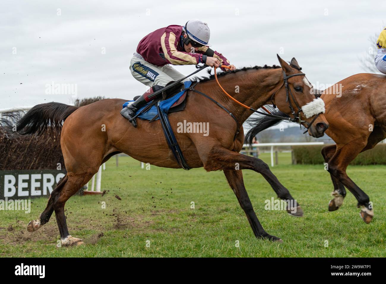 Maliboo runner up at wincanton hi-res stock photography and images - Alamy