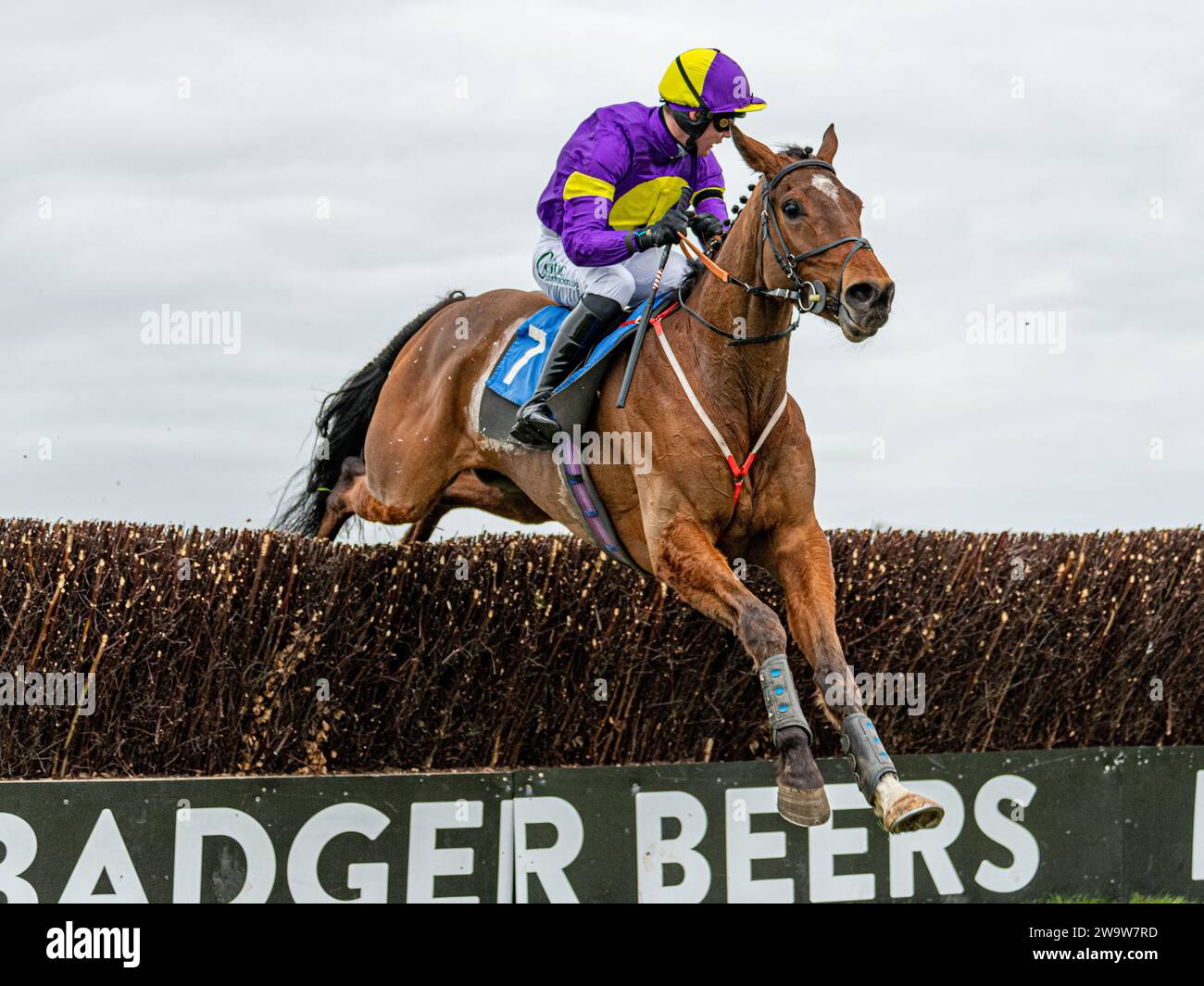 King Orry, ridden by Sean Houlihan and trained by Susan Gardner, racing ...
