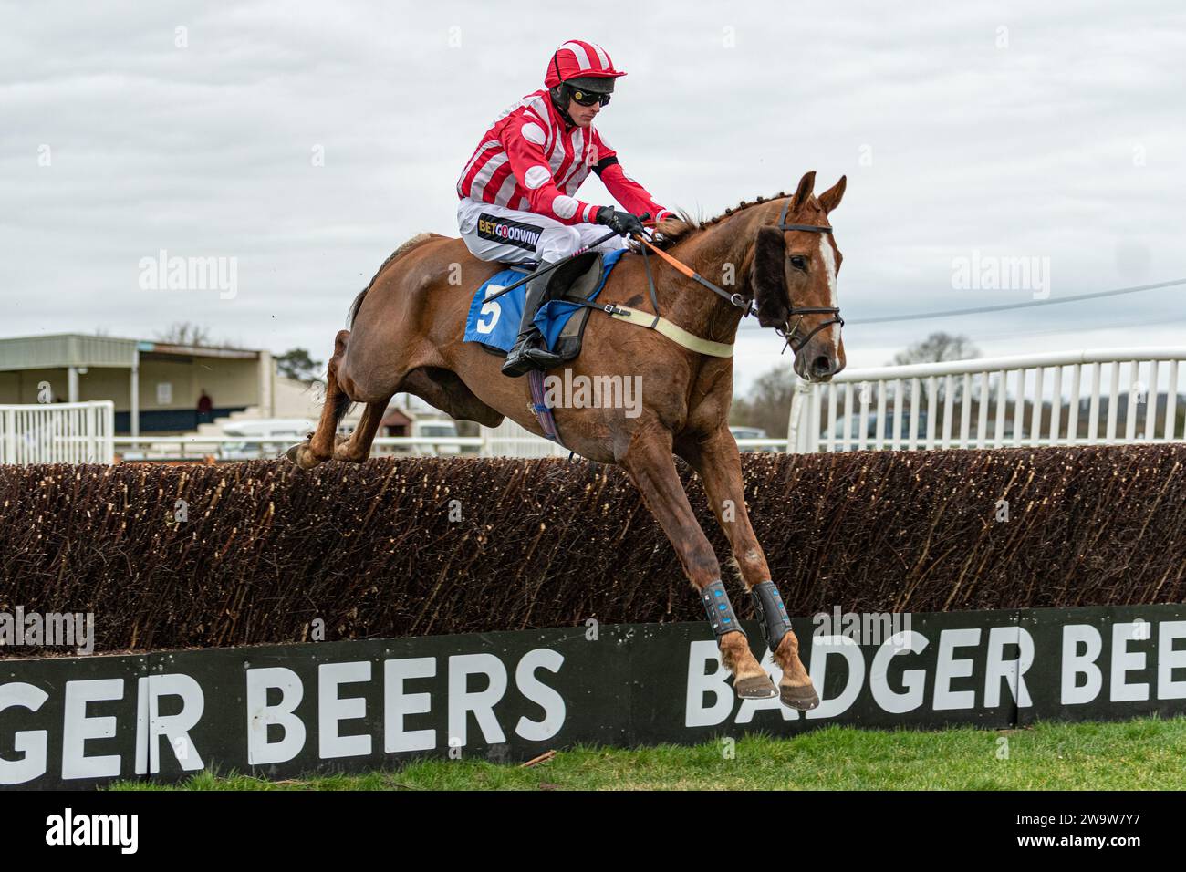 Belle Jour, ridden by Tom Cannon and trained by Chris Gordon, racing at ...