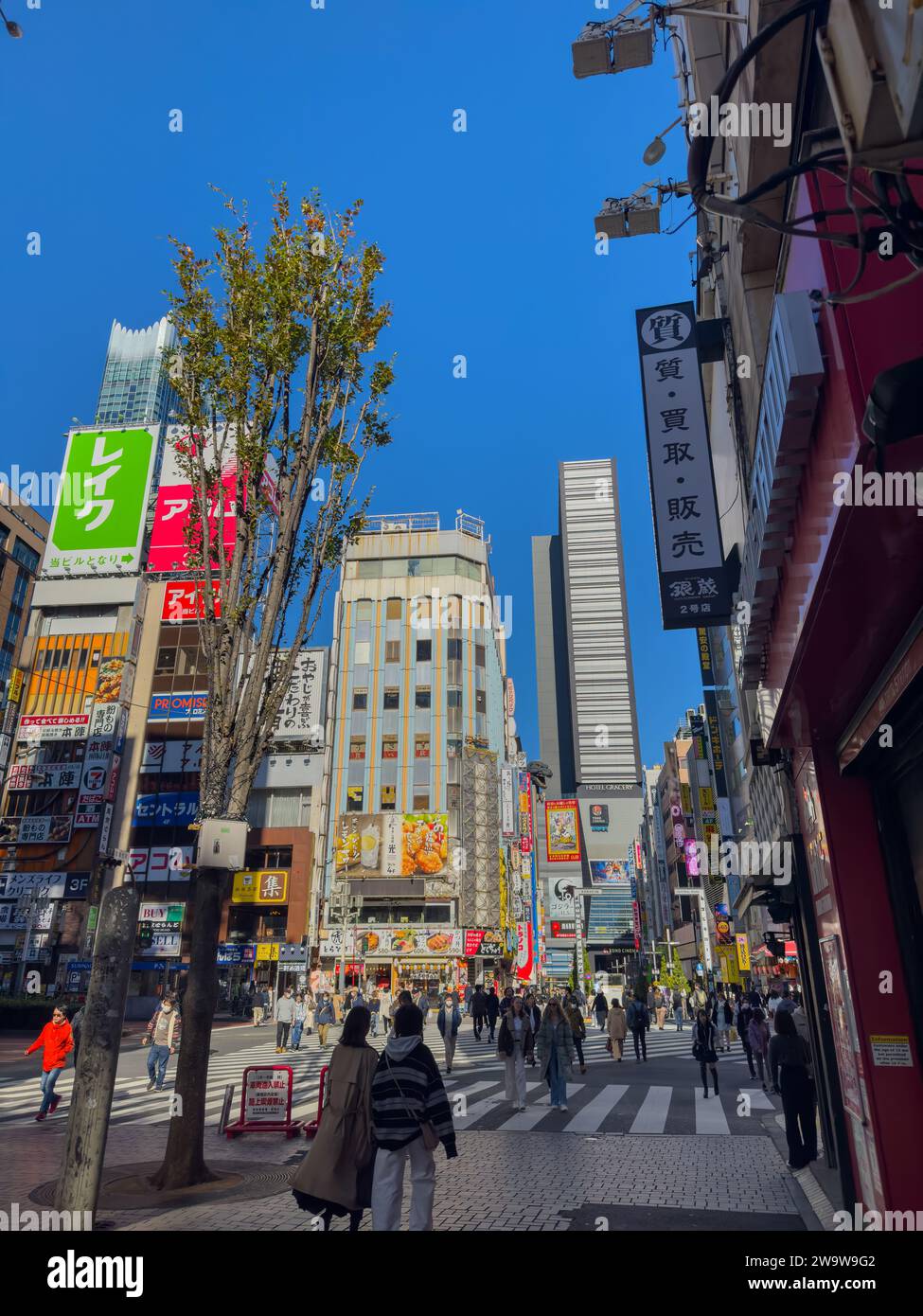 Godzilla street hi-res stock photography and images - Alamy