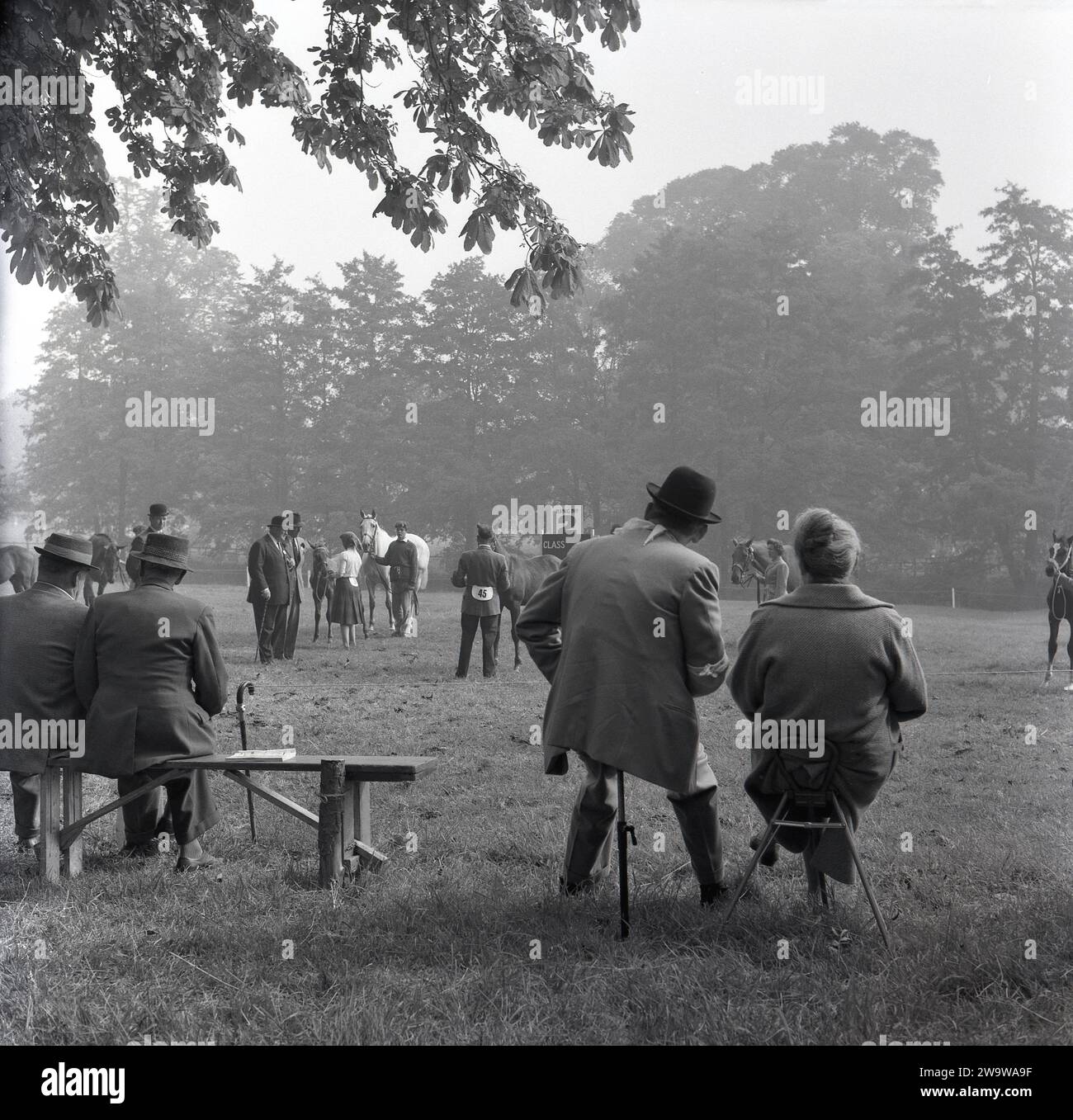 1964, historical, horse show, judges at Ring No 2 looking at the young ...