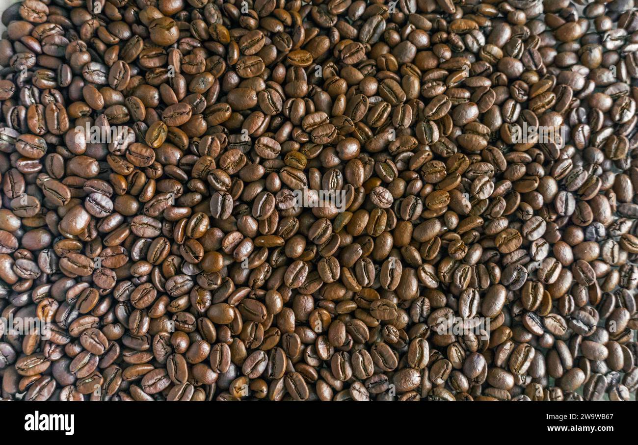 Coffee bean background, roast grain. Coffee lover Top view of roasted ...