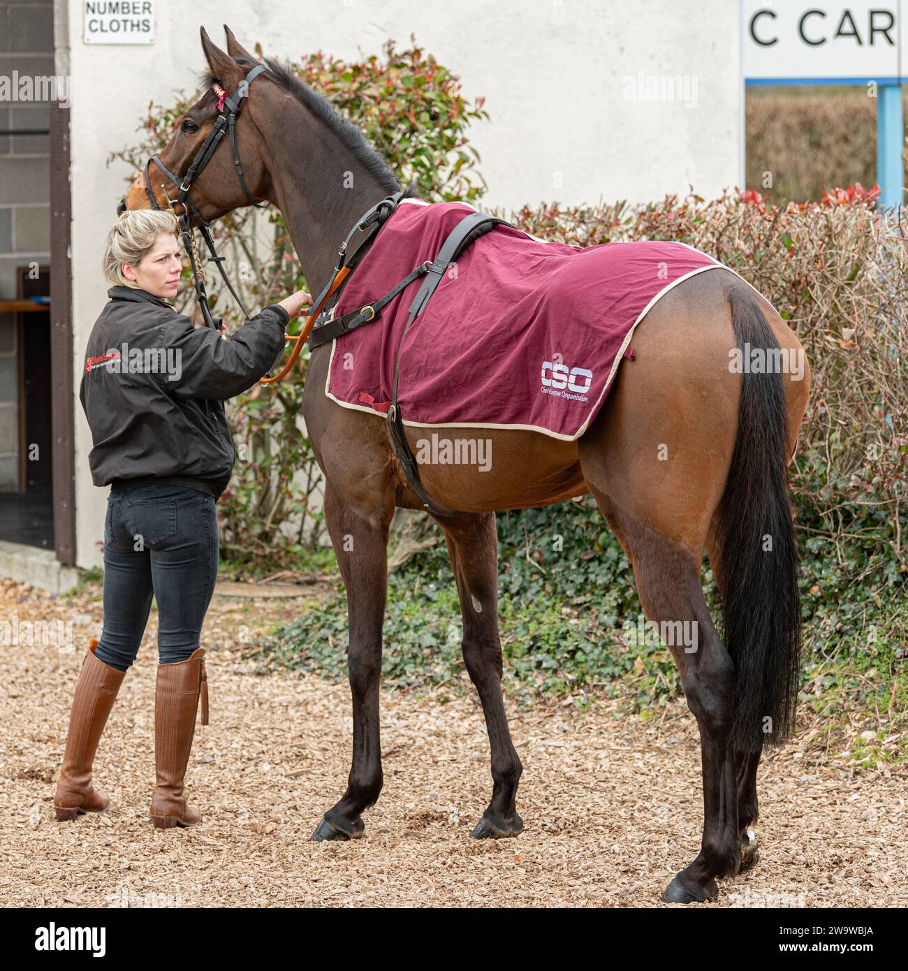 Wrong shape ball cantering to the start hi-res stock photography and ...
