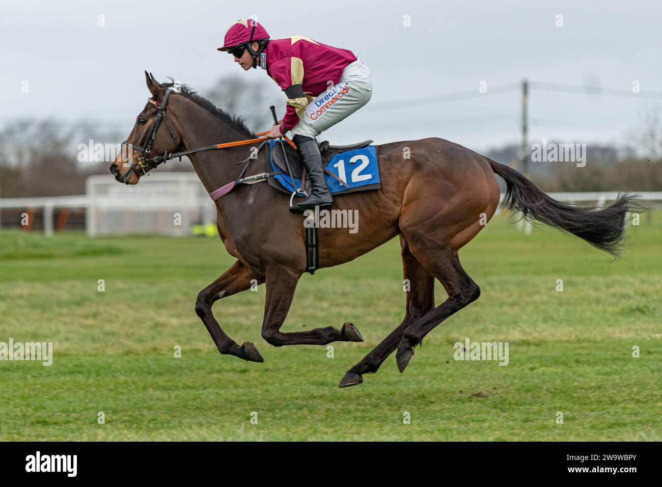 Wrong Shape Ball, ridden by James Bowen and trained by Nicky Martin ...