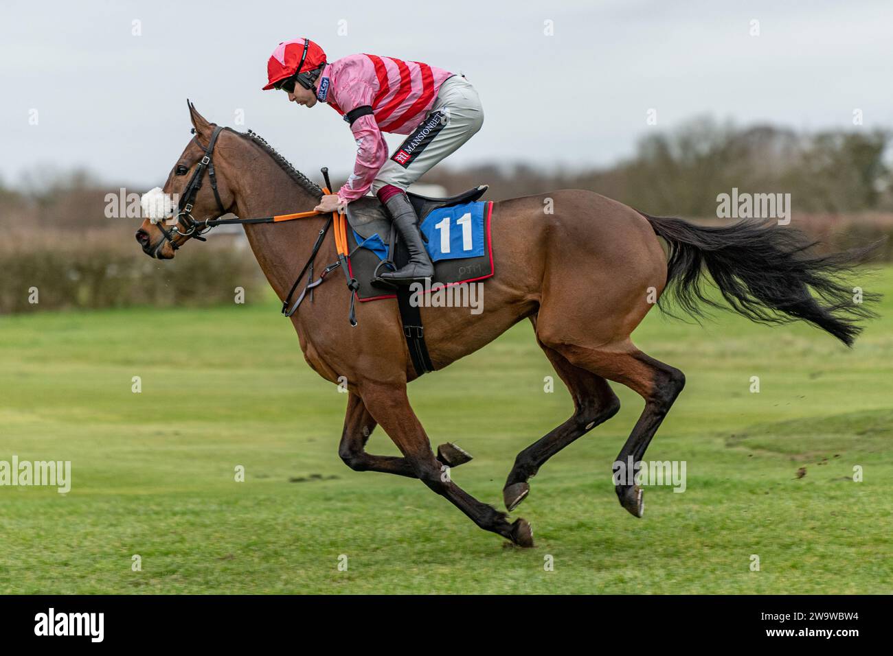 Tigerbythetail, ridden by Aidan Coleman and trained by Olly Murphy ...