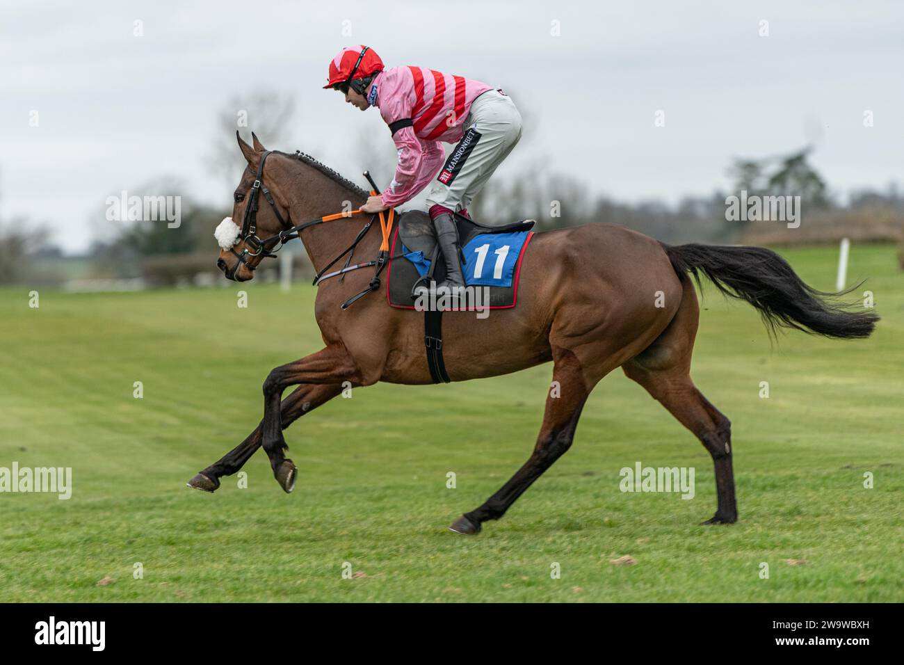Tigerbythetail, ridden by Aidan Coleman and trained by Olly Murphy ...
