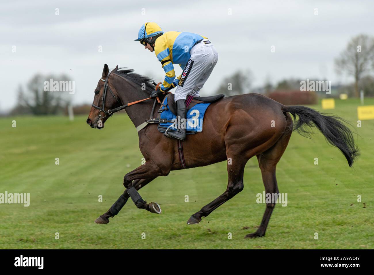 Alan king trained betterforeveryone hi-res stock photography and images ...