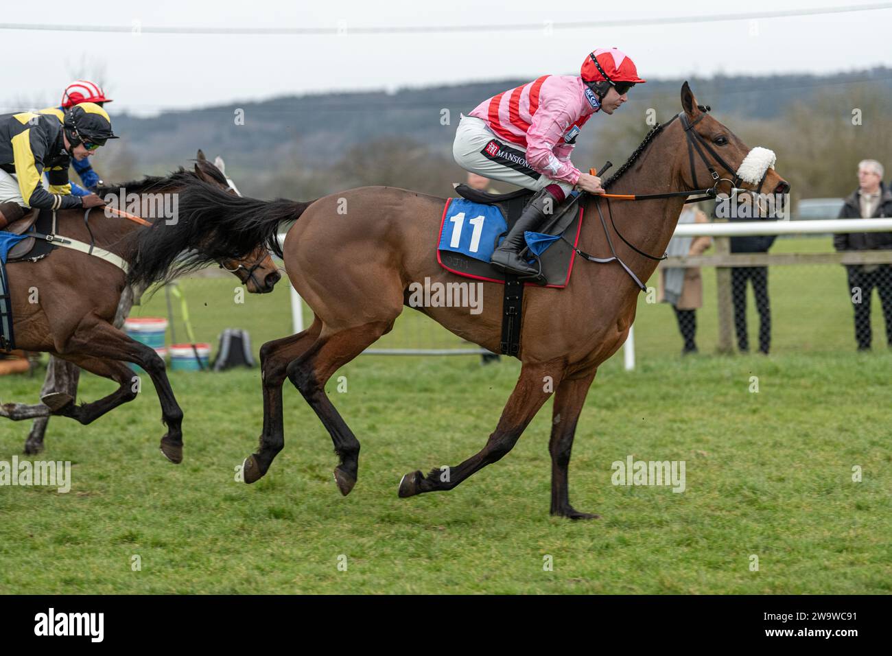 Olly murphy trained tigerbythetail hi-res stock photography and images ...