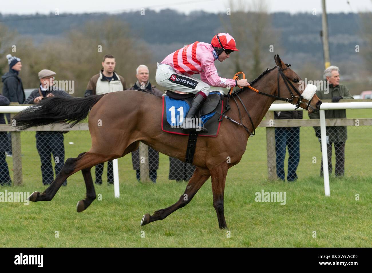 Tigerbythetail cantering to the start hi-res stock photography and ...