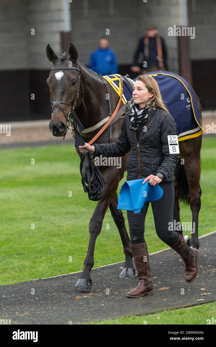 Wax and Wane, ridden by Alan Johns and trained by Tim Vaughan, racing ...