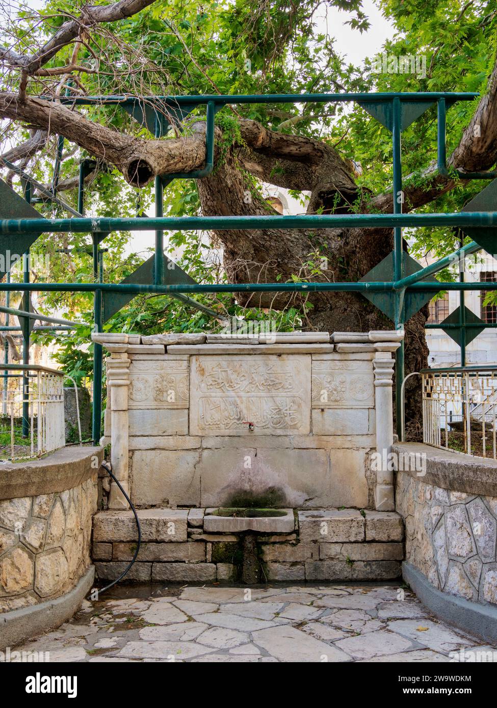 Plane Tree of Hippocrates, Platia Platanou, Kos Town, Kos Island ...