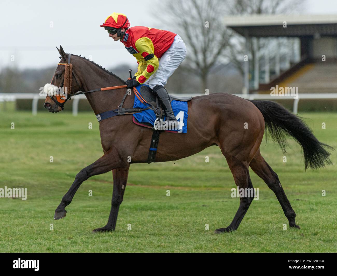 Those Tiger Feet, ridden by David Bass and trained by Kim Bailey ...
