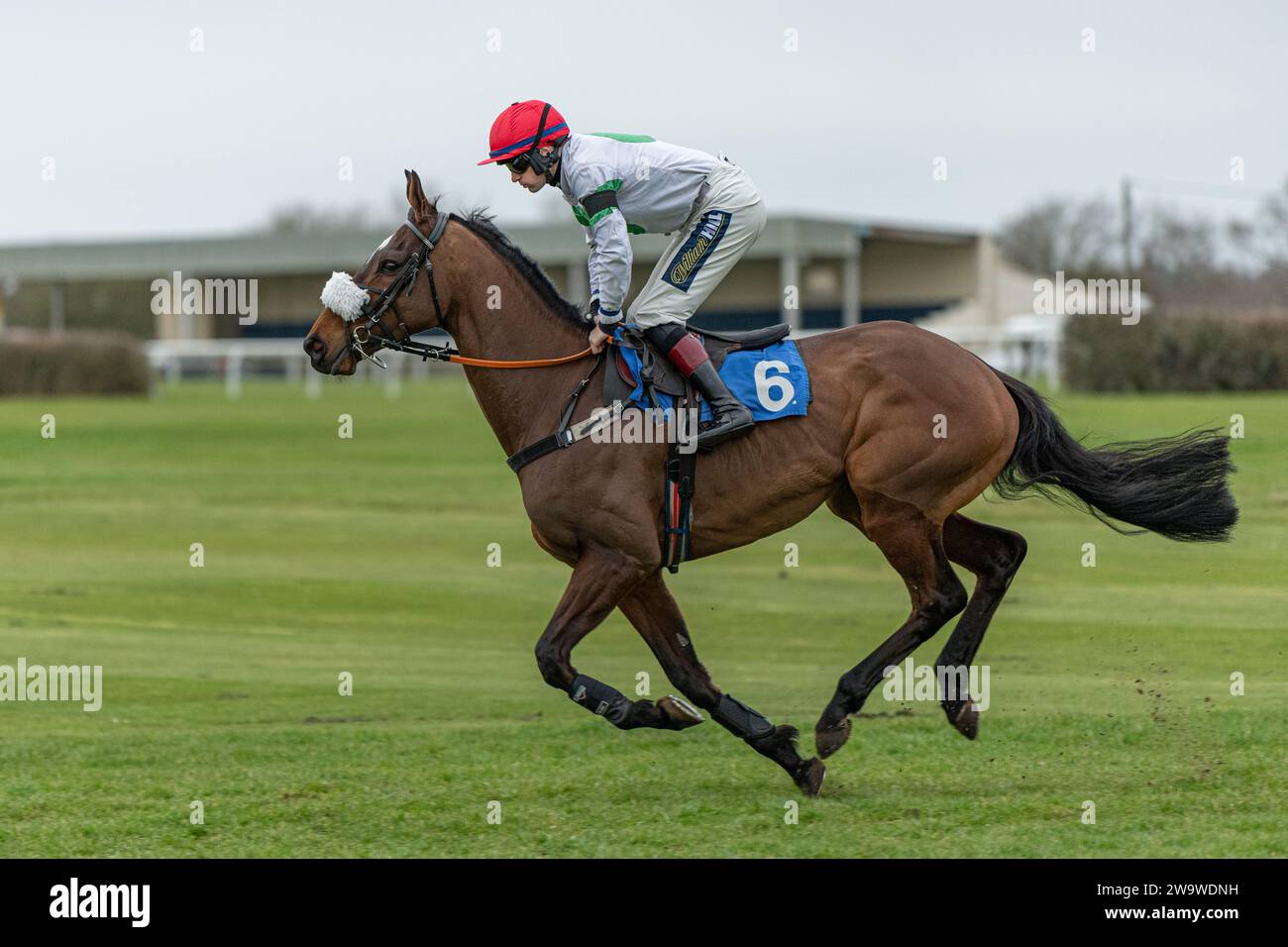 Laura young trained megaudais speed hi-res stock photography and images ...