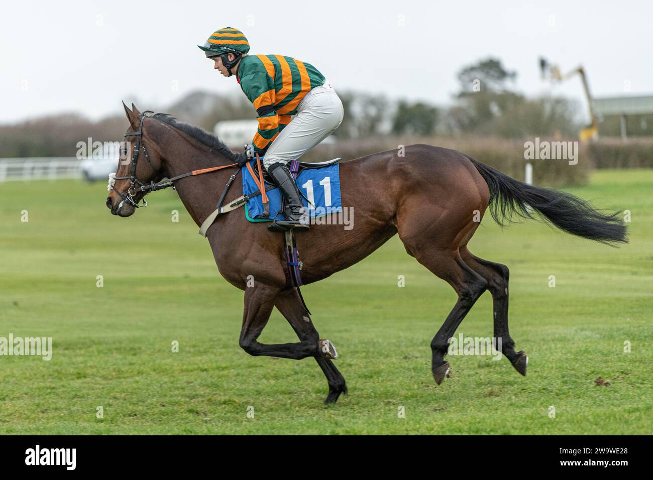 Blue heather running over hurdles at wincanton hi-res stock photography ...