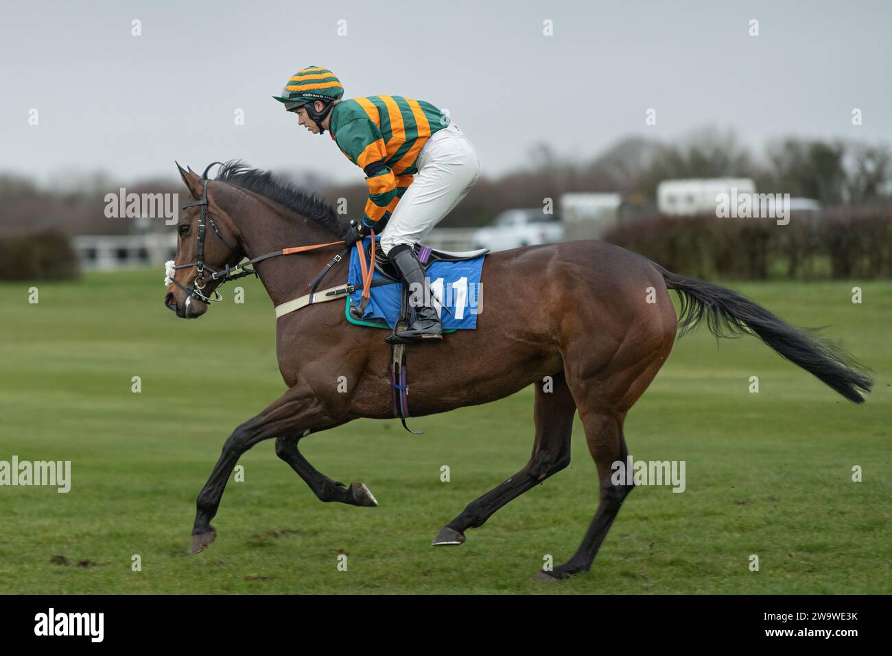 Blue heather running over hurdles at wincanton hi-res stock photography ...