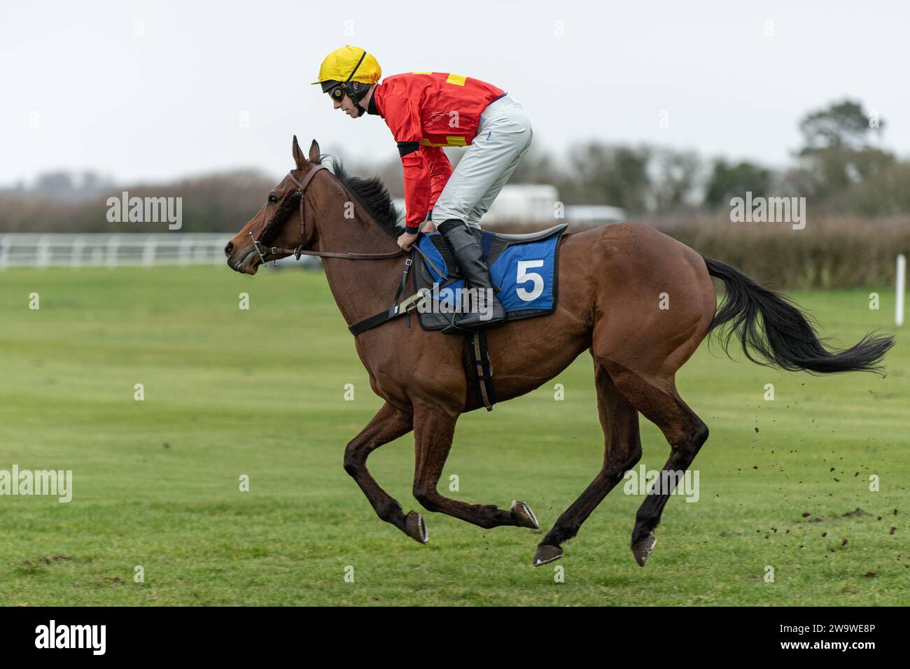 After the fox, ridden by Chester Williams and trained by Mrs Jane ...