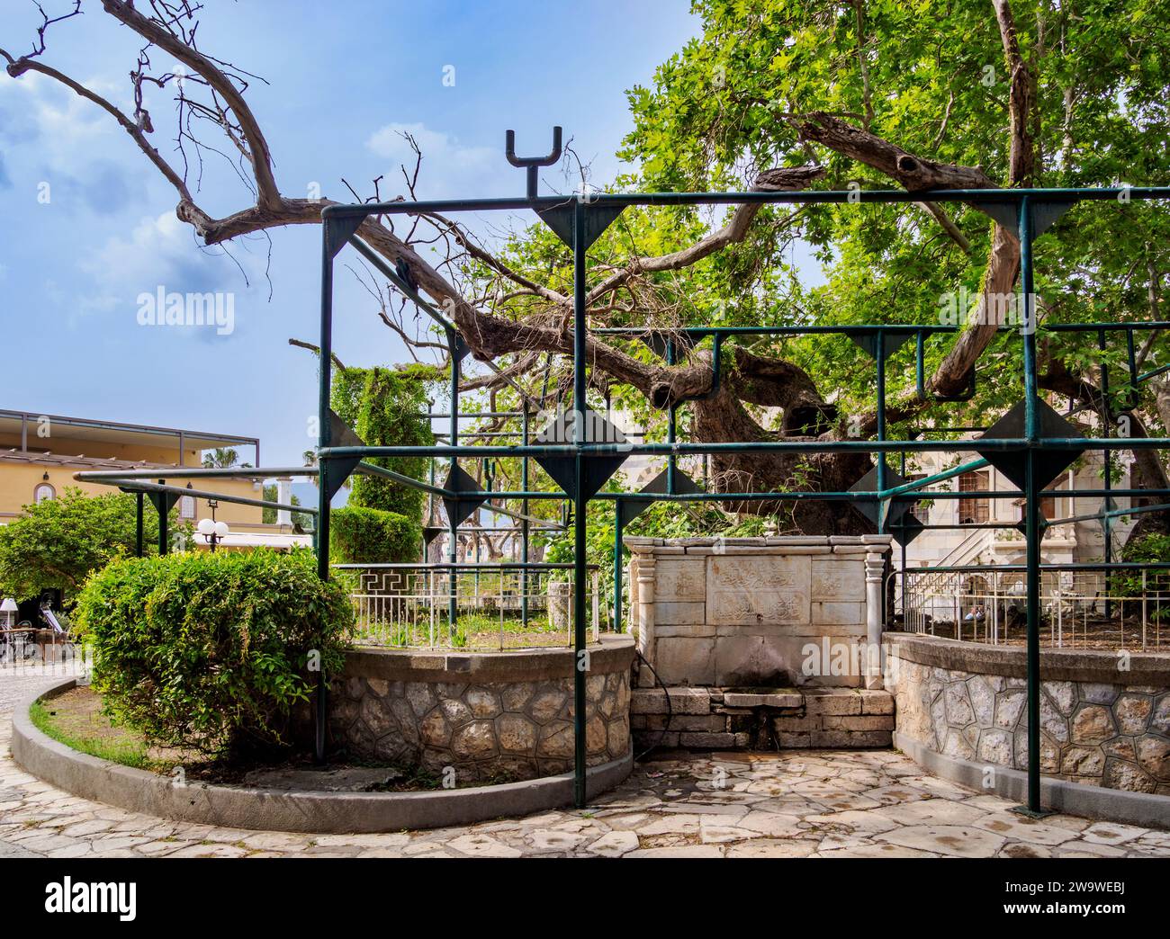 Plane Tree of Hippocrates, Platia Platanou, Kos Town, Kos Island ...