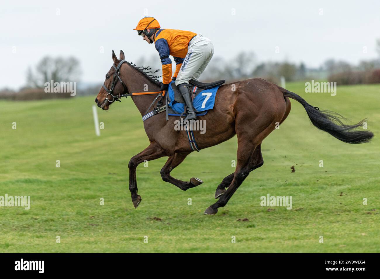 Milton harris trained wetandwindy hi-res stock photography and images ...