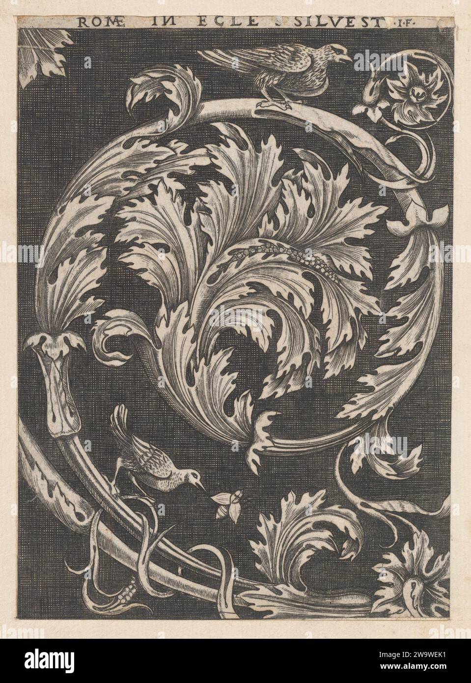 Ornamental foliage from churches, from "Speculum Romanae Magnificentiae ...